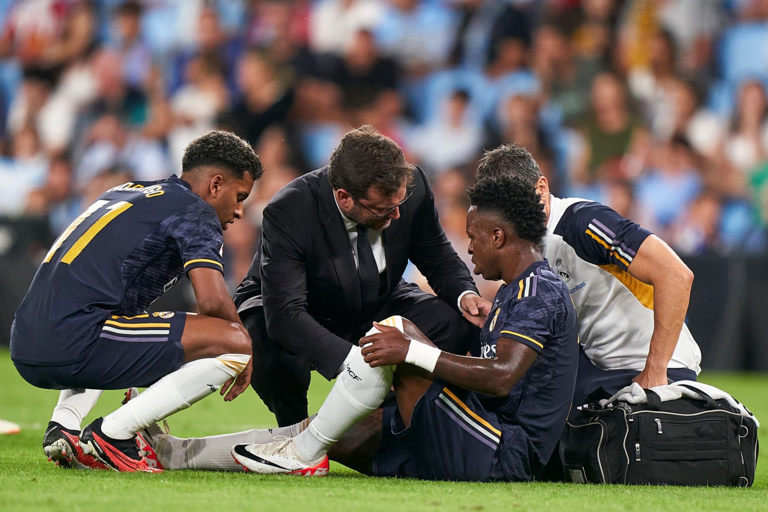 زانیاری لەسەر پێکانەکەی ڤینیسیوس - Yariga